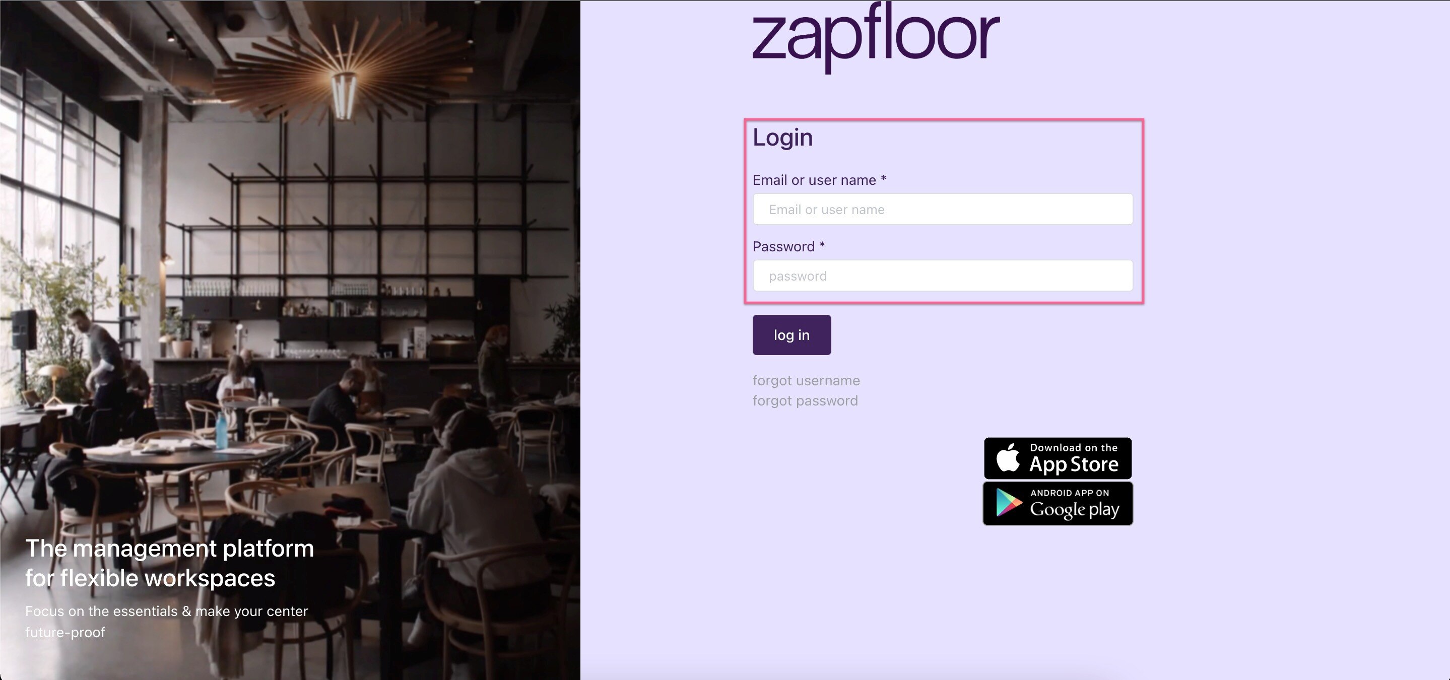 Logging into Zapfloor